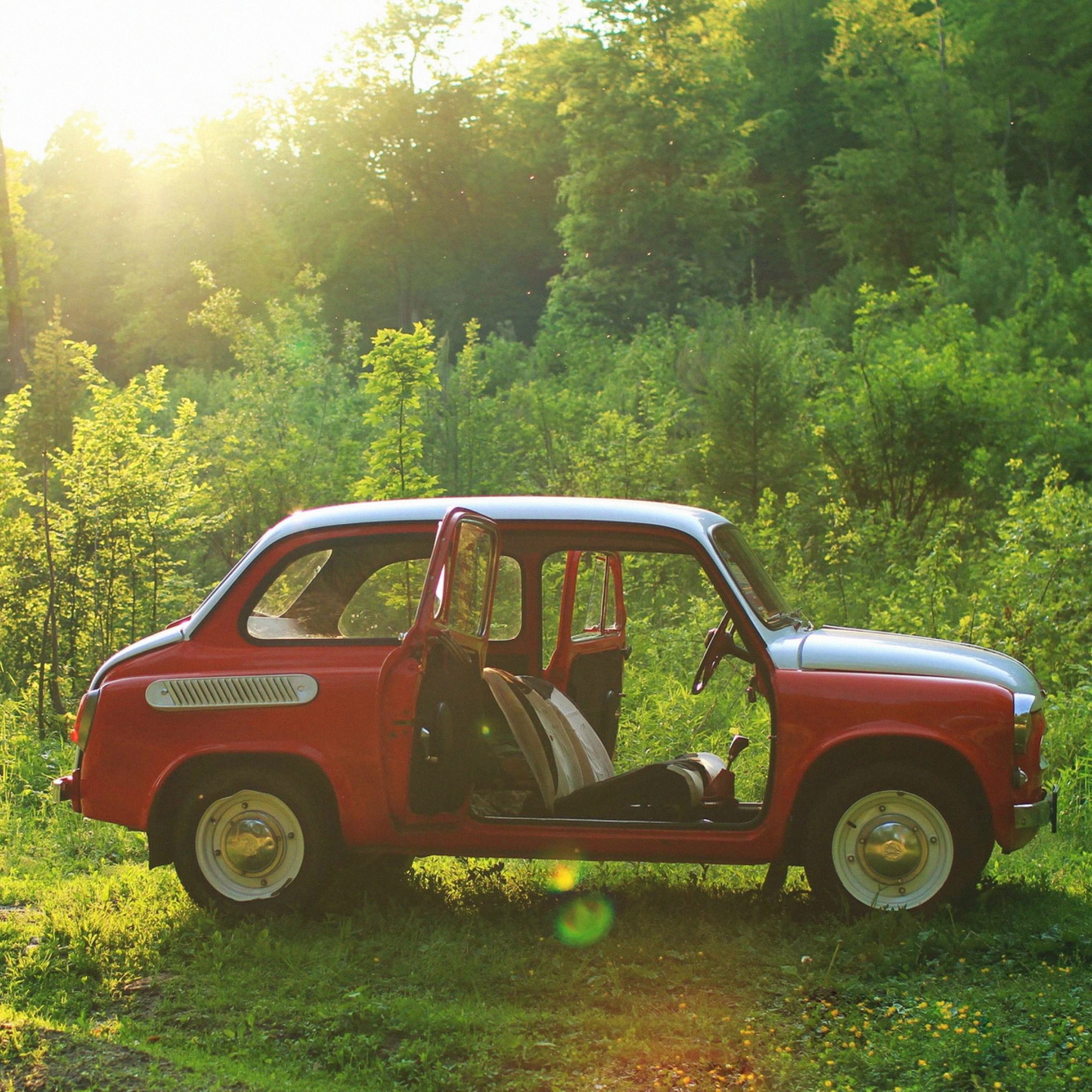 Vehicle car red green mountain | wallpaper.sc iPad