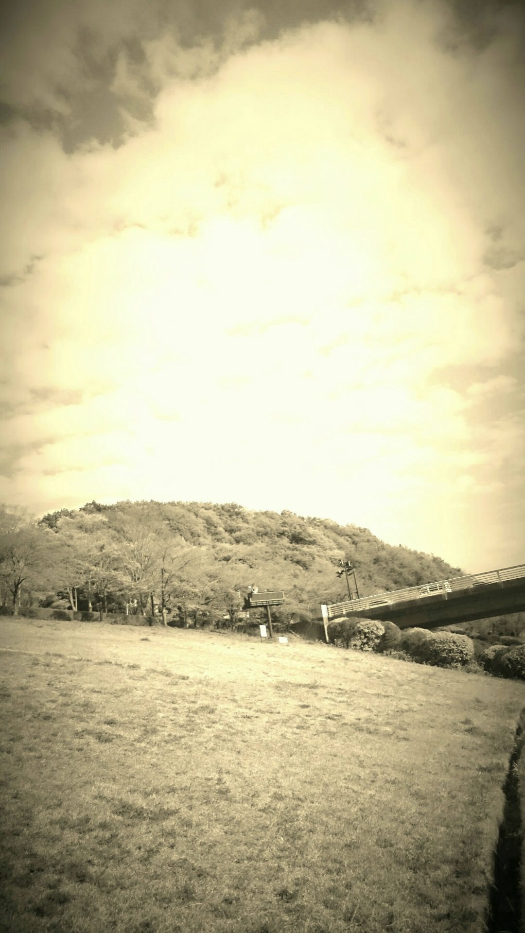 field Black and White | wallpaper.sc iPhone6sPlus