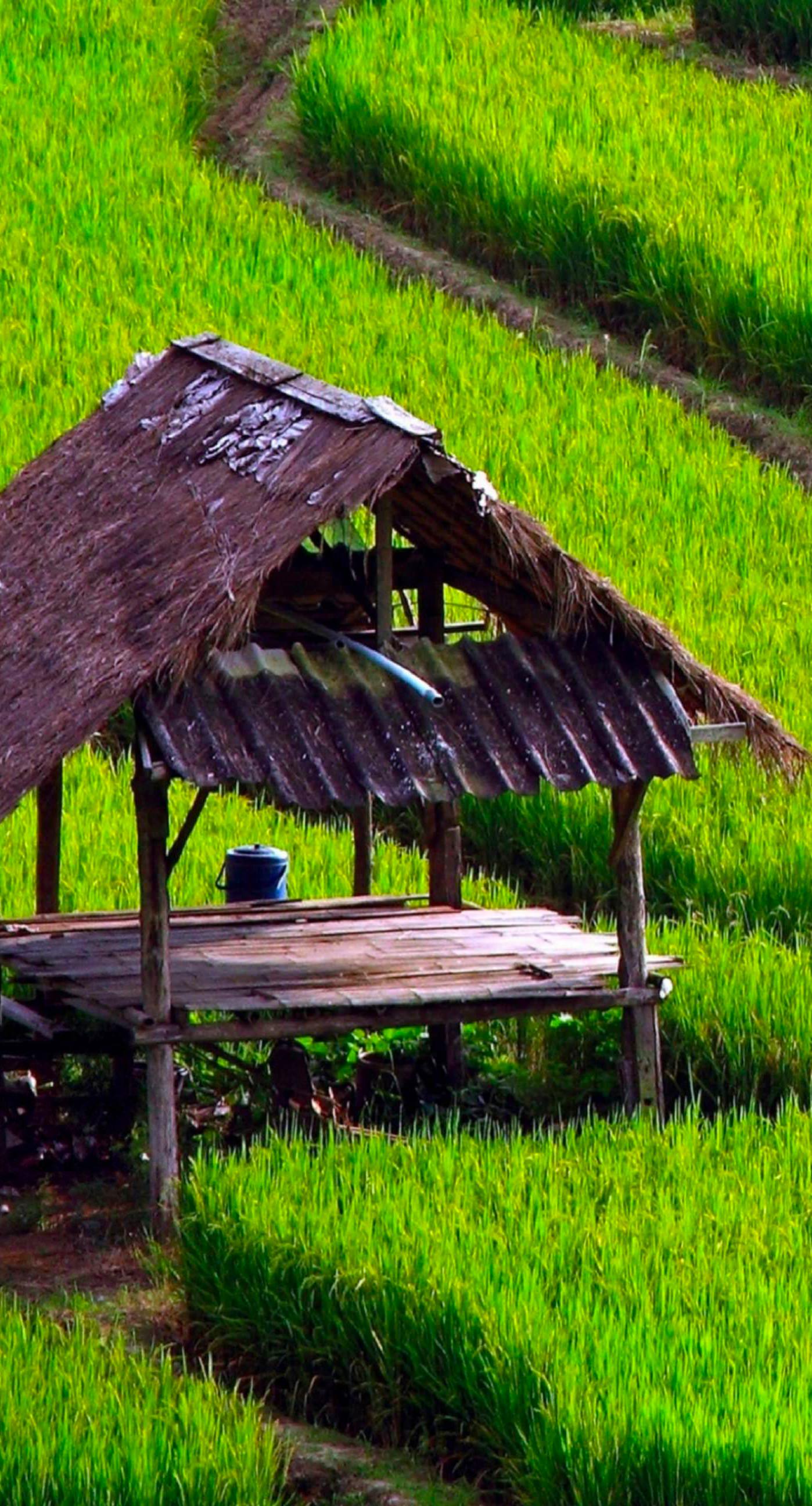Scenery green hut | wallpaper.sc iPhone6sPlus
