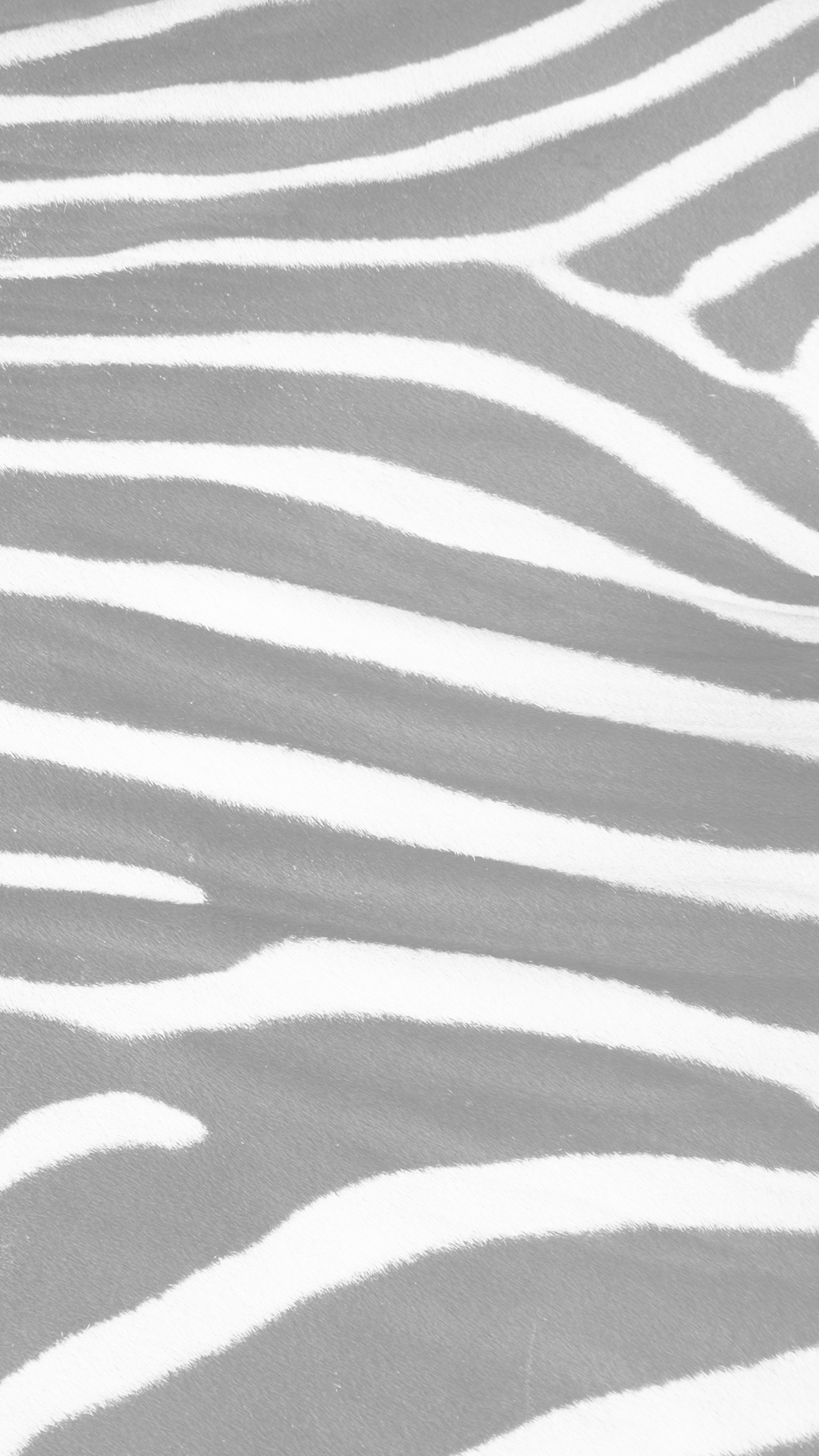 Zebra pattern Gray | wallpaper.sc iPhone6sPlus