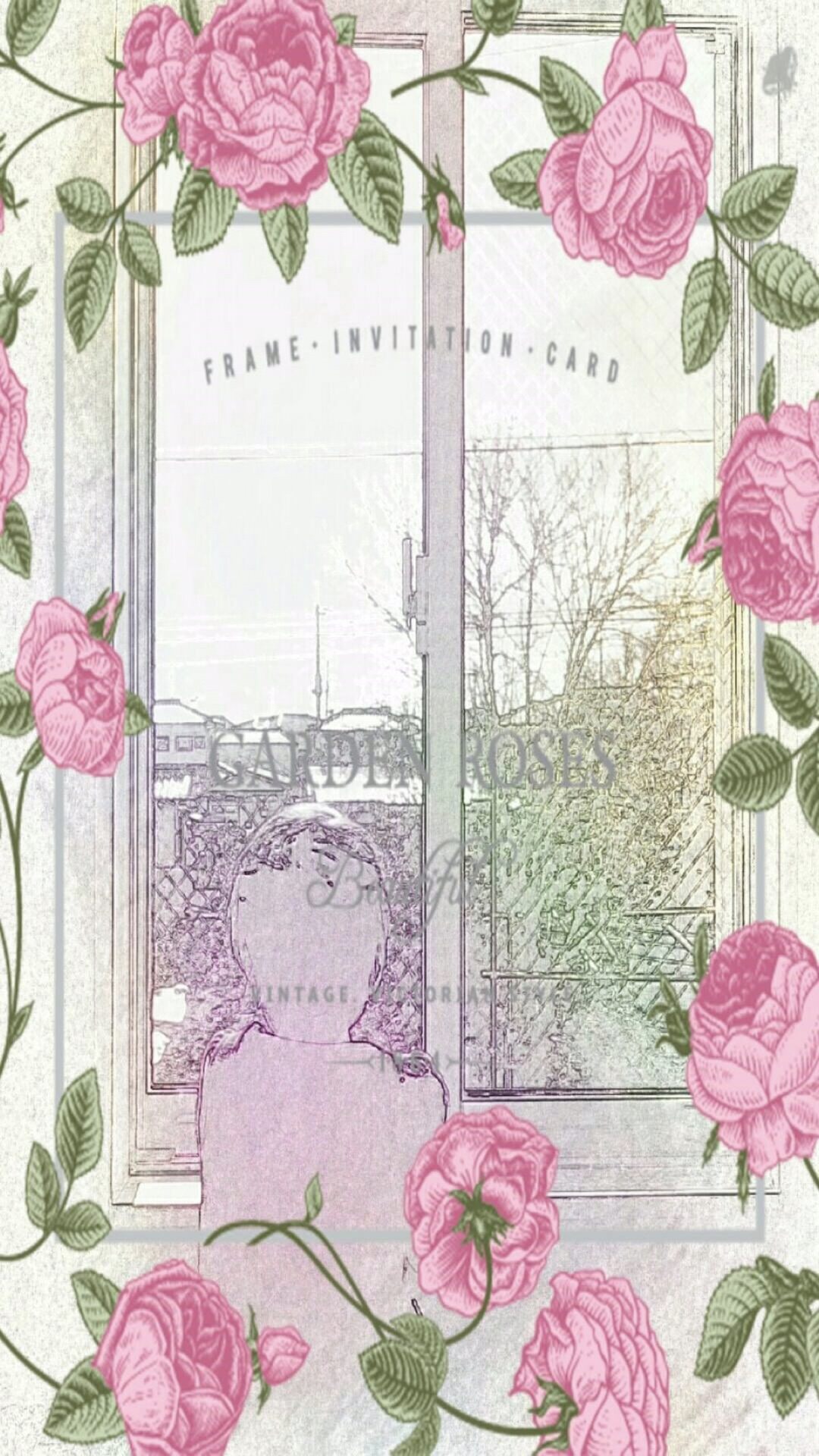 Window Rose | wallpaper.sc iPhone7Plus