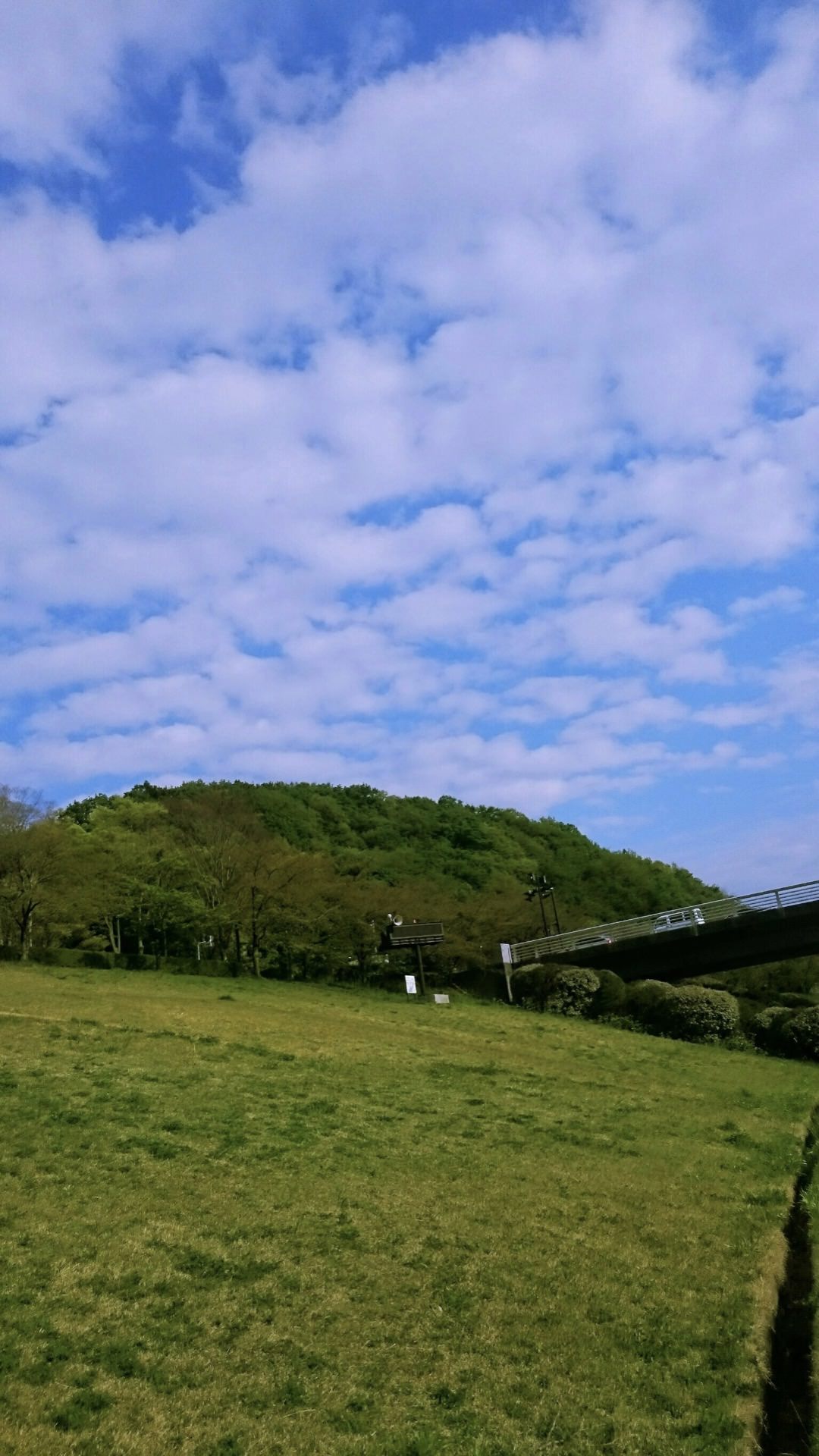 field hill | wallpaper.sc iPhone7Plus