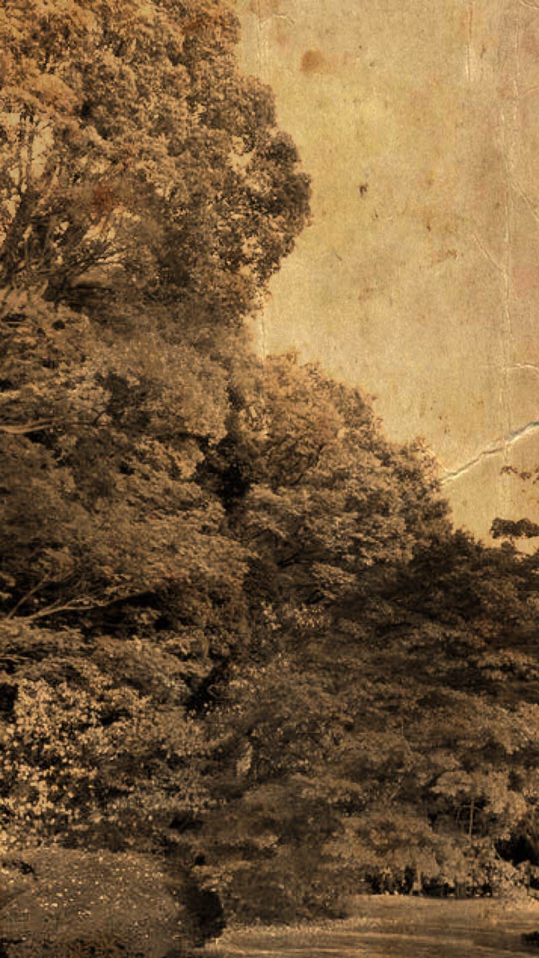 Green Sepia | wallpaper.sc iPhone8Plus