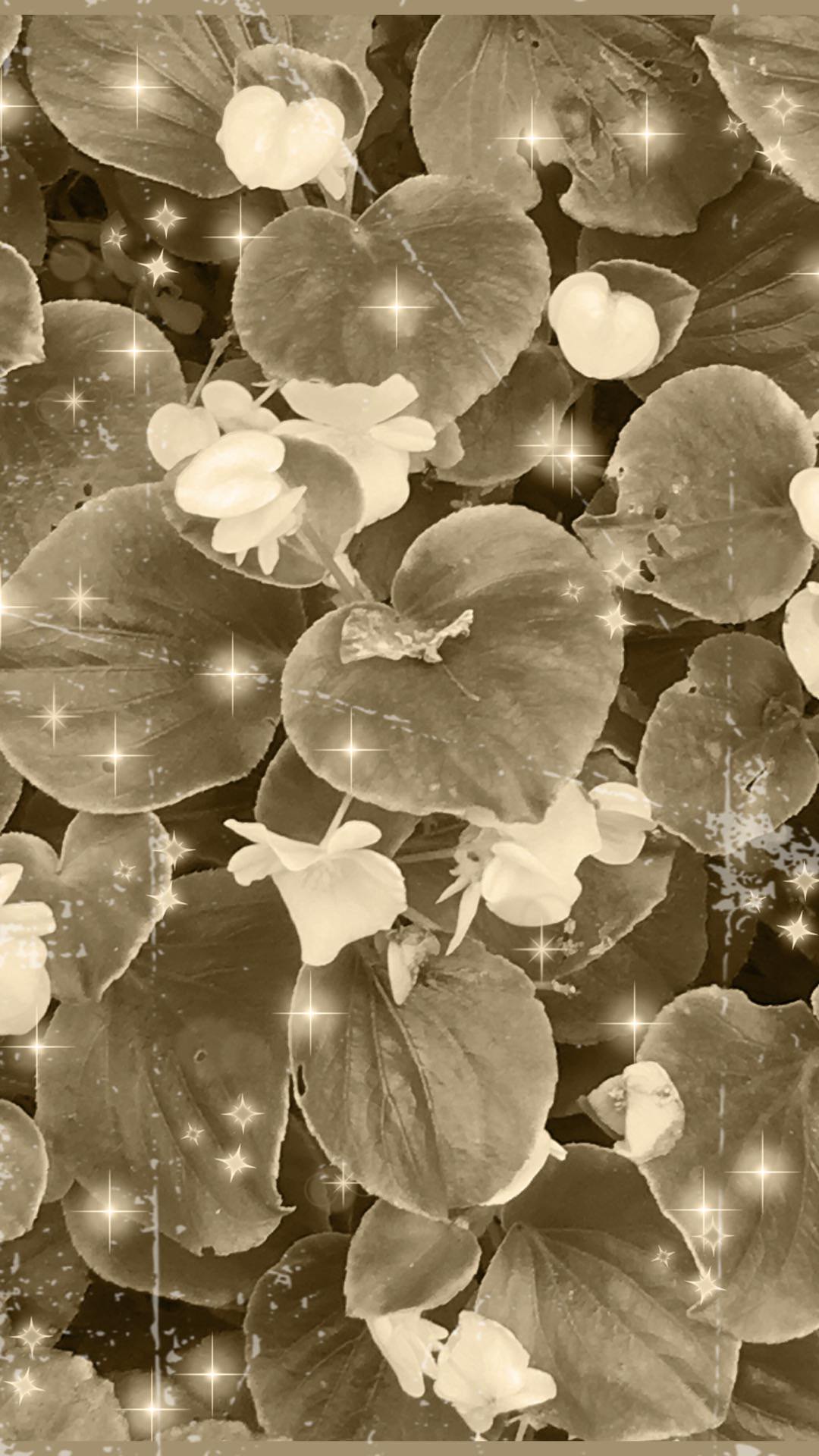 Flower sepia | wallpaper.sc iPhone8Plus