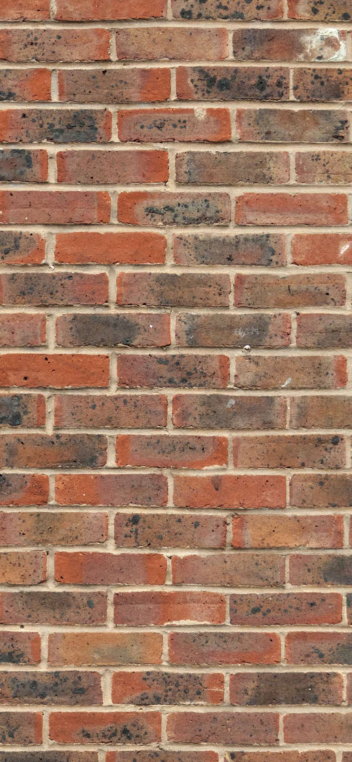 Pattern brick red vermilion black | wallpaper.sc iPhoneXS