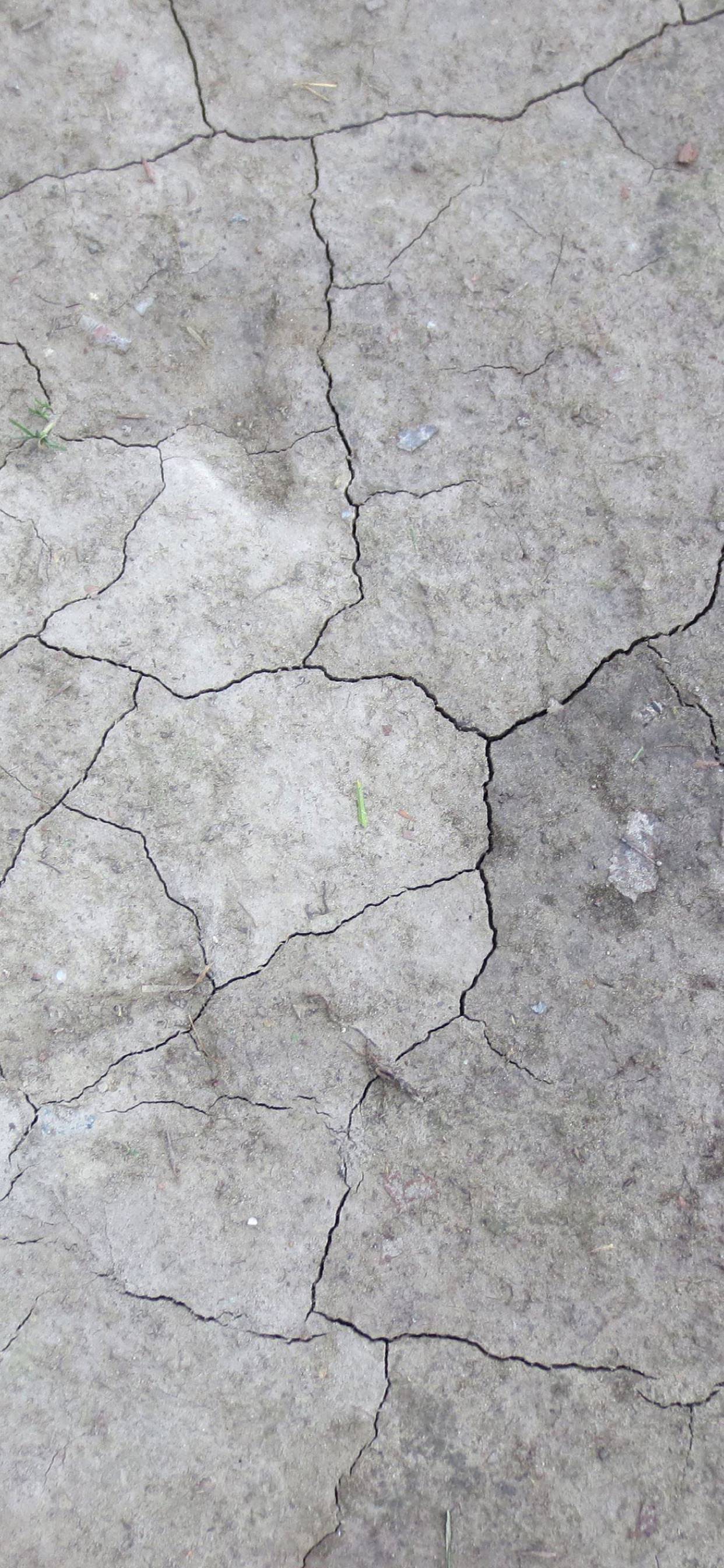 Concrete wall cracks | wallpaper.sc iPhone XS Max