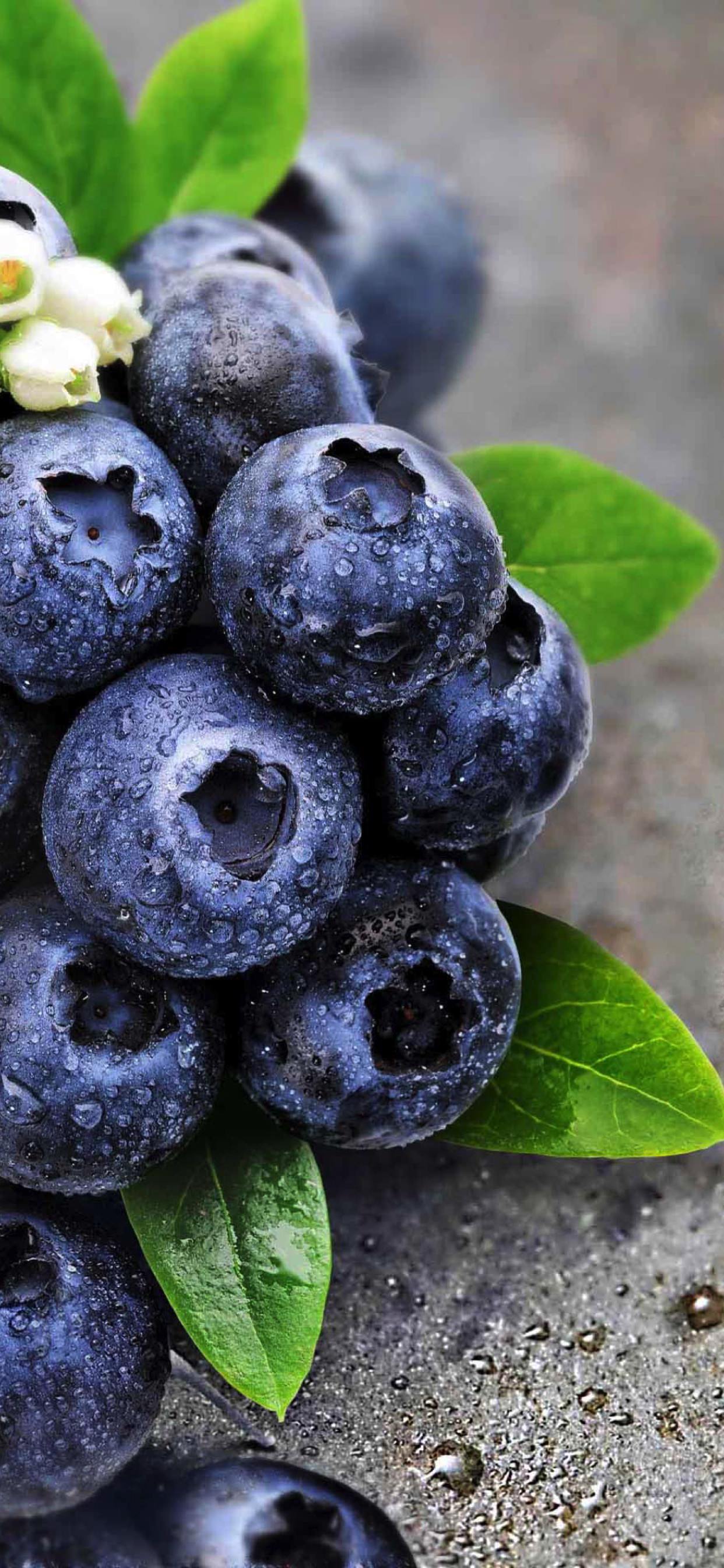 Raspberry fruit blue green | wallpaper.sc iPhone XS Max