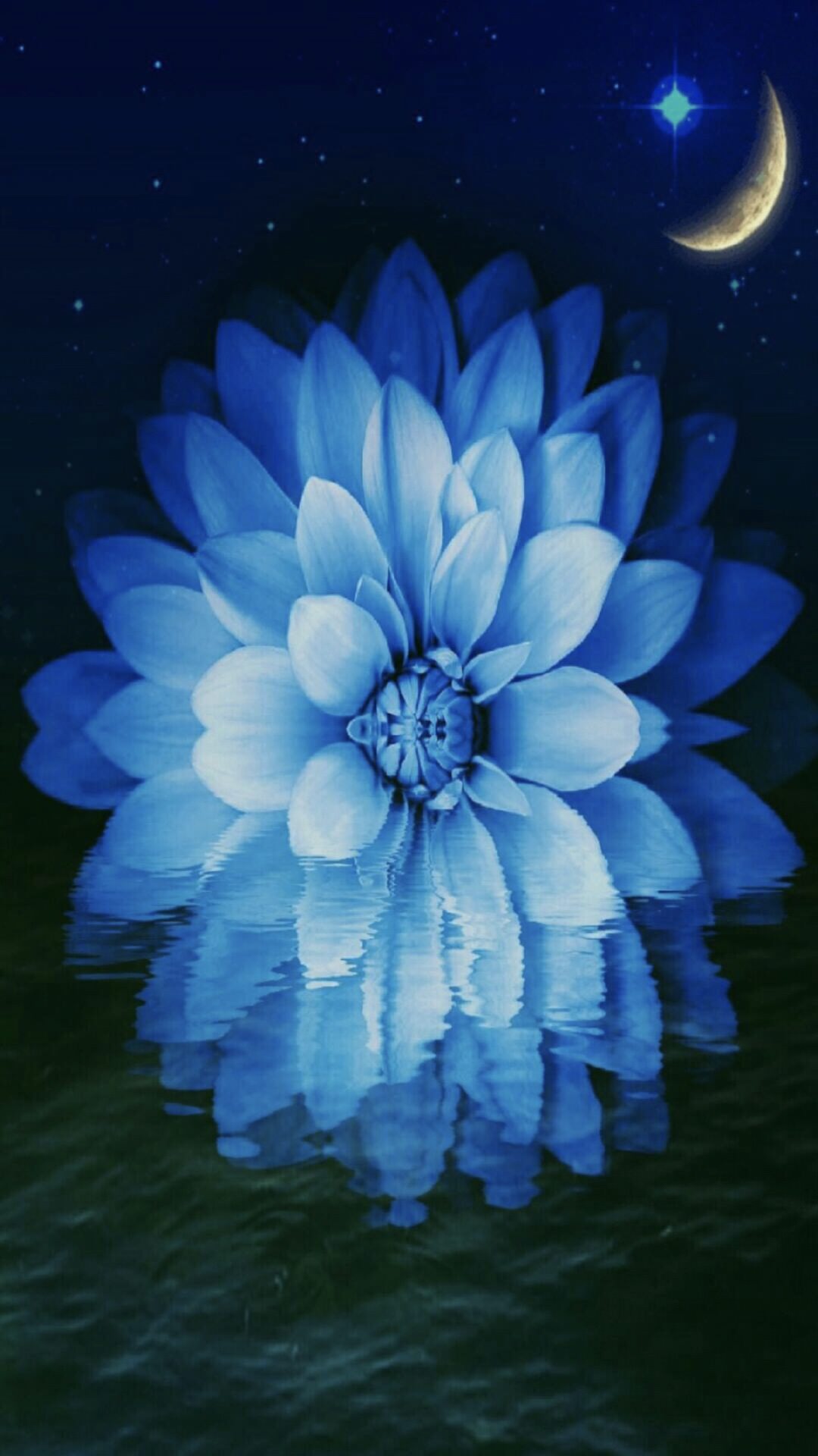 Flor de la luna | wallpaper.sc Android