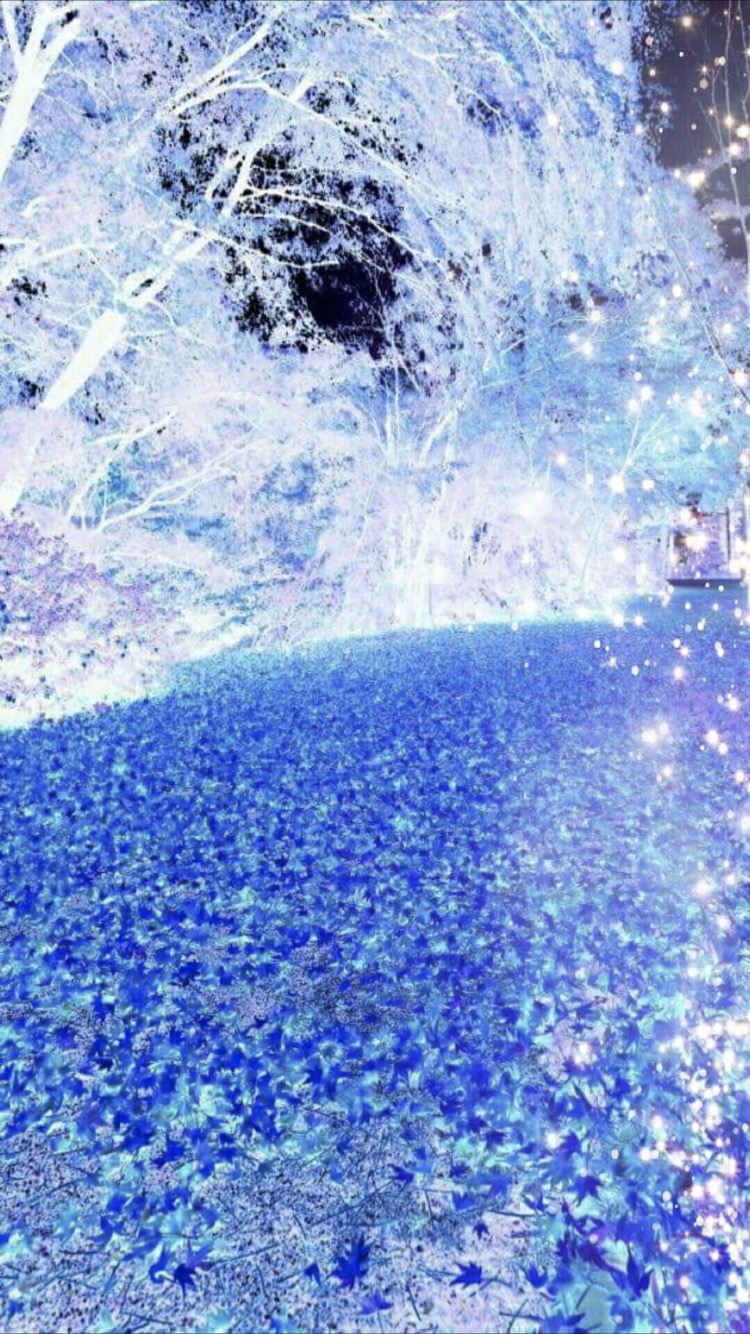 Bosque azul | wallpaper.sc iPhone7