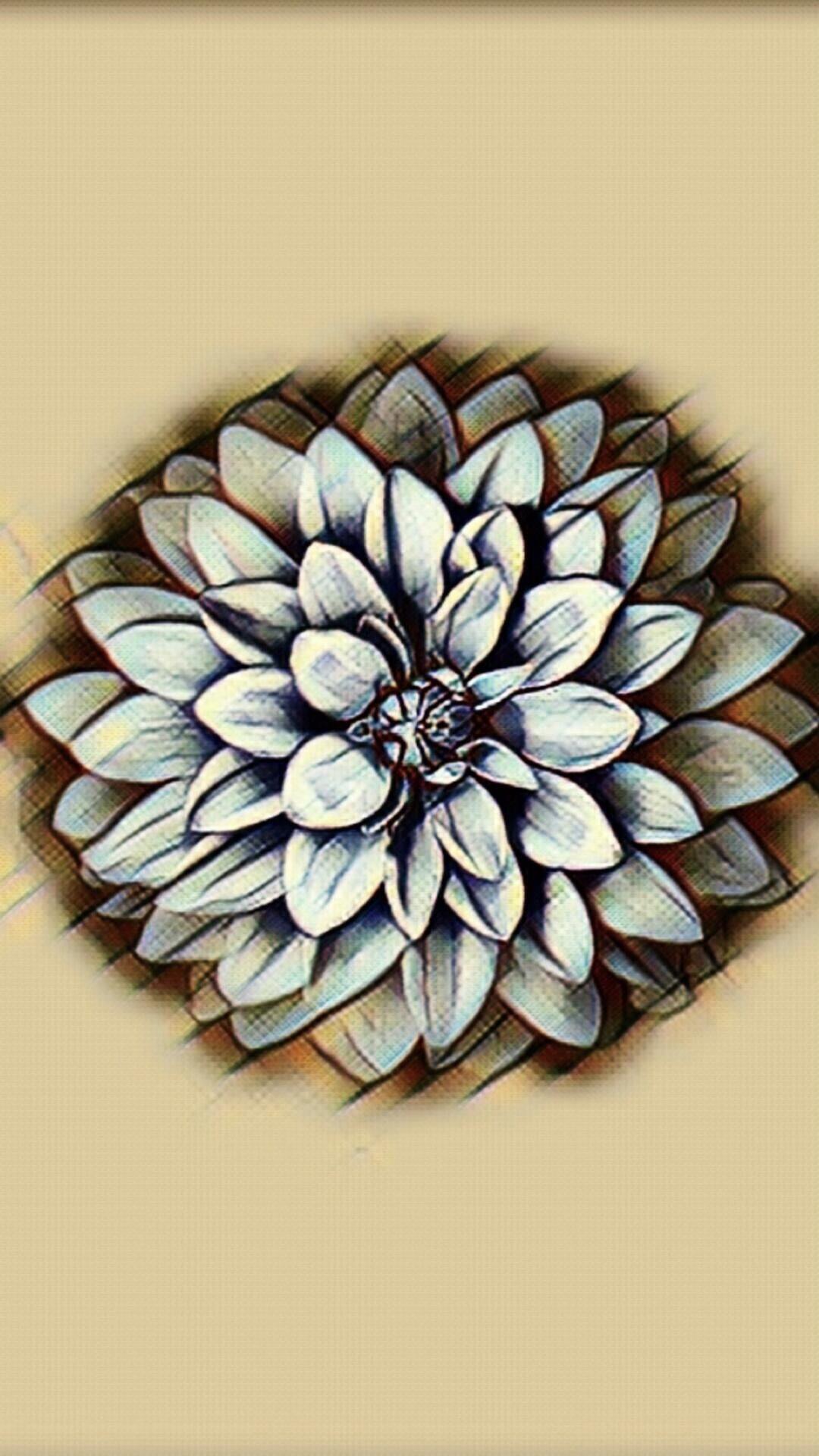 Bunga putih | wallpaper.sc Android