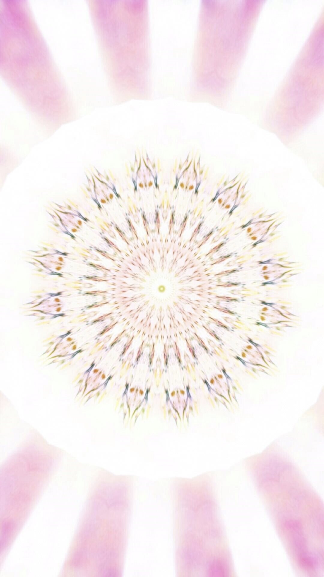 Berwarna merah muda | wallpaper.sc Android