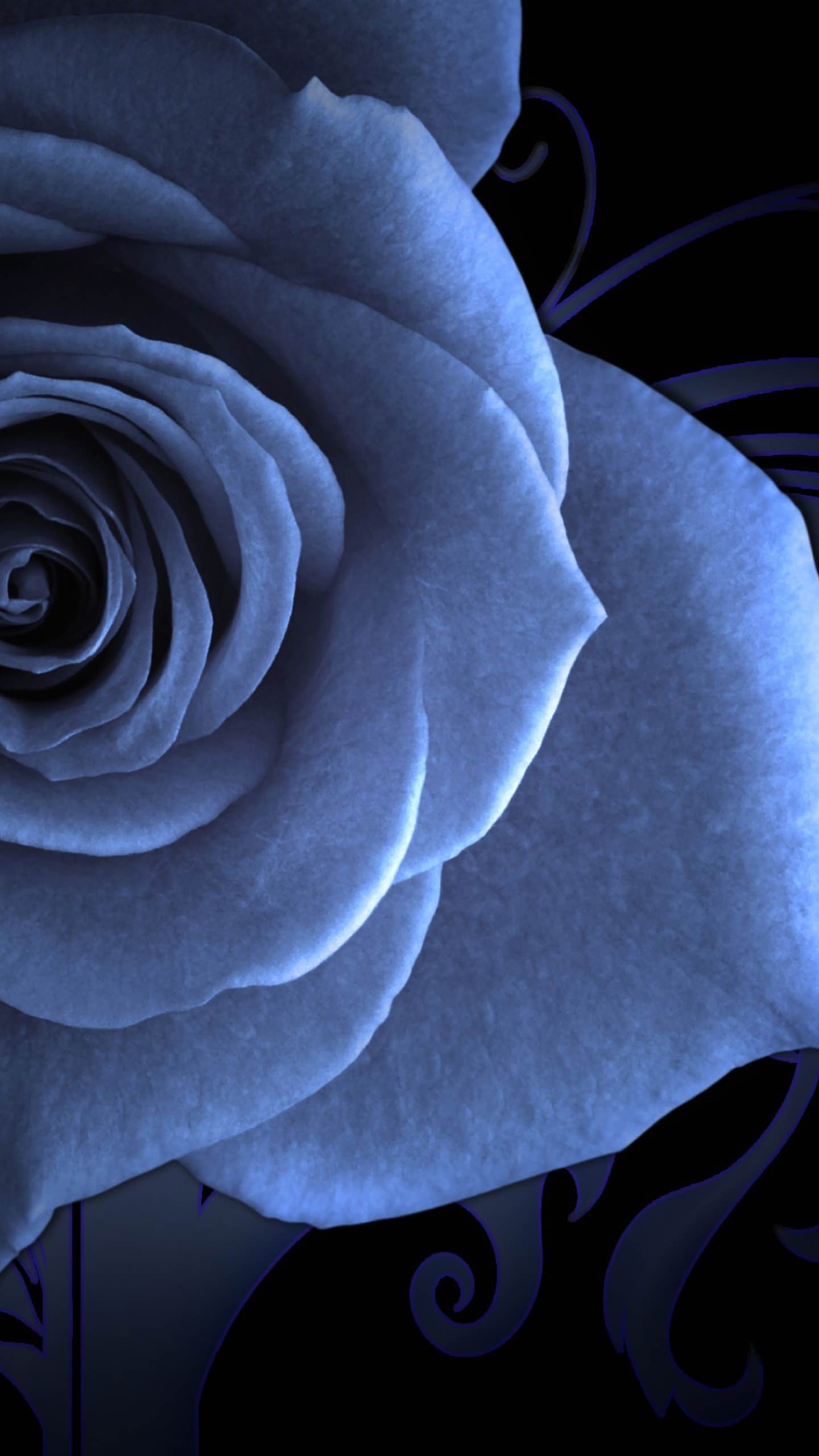 biru bunga alami | wallpaper.sc Android