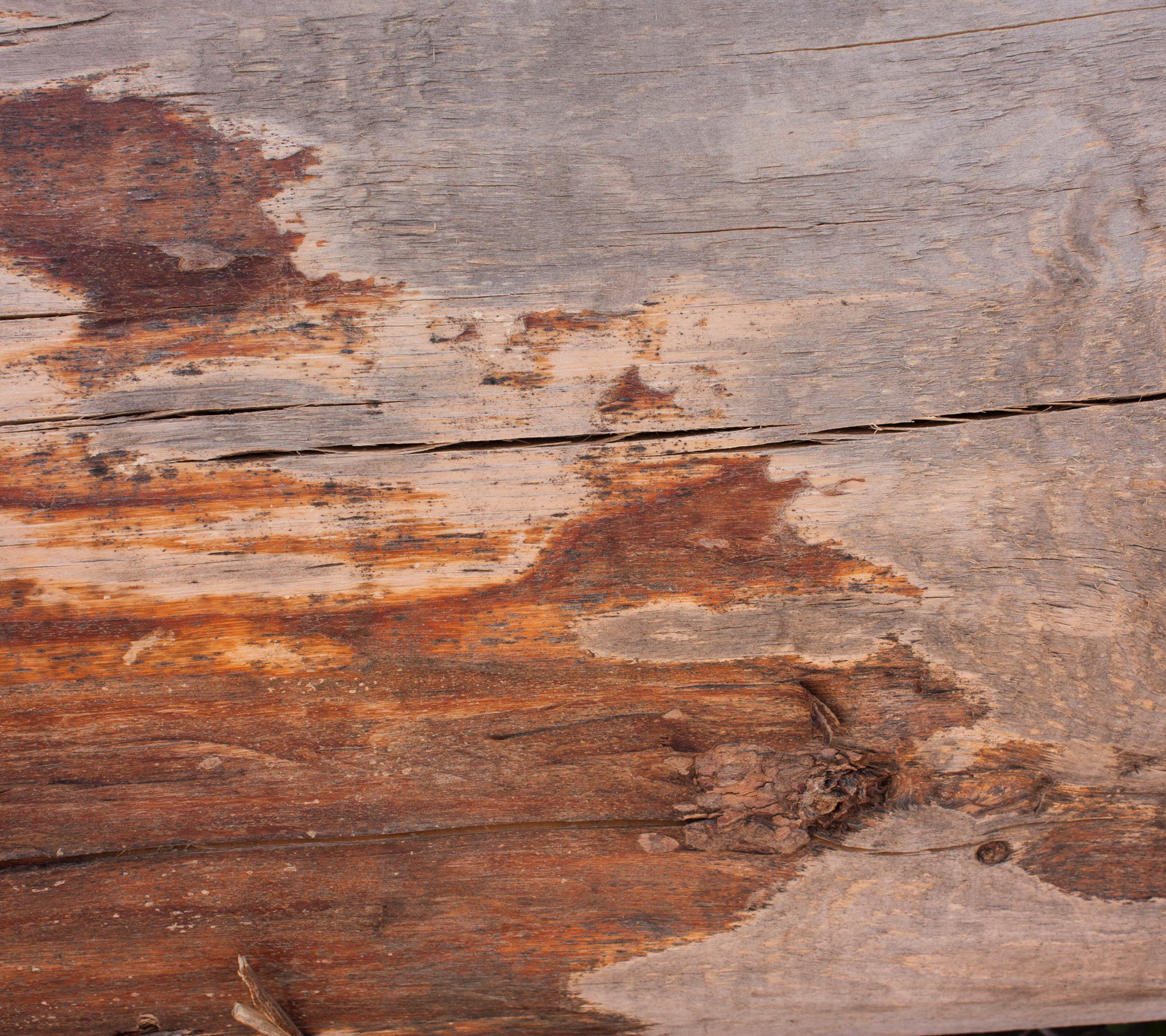 dinding kayu coklat | wallpaper.sc Android