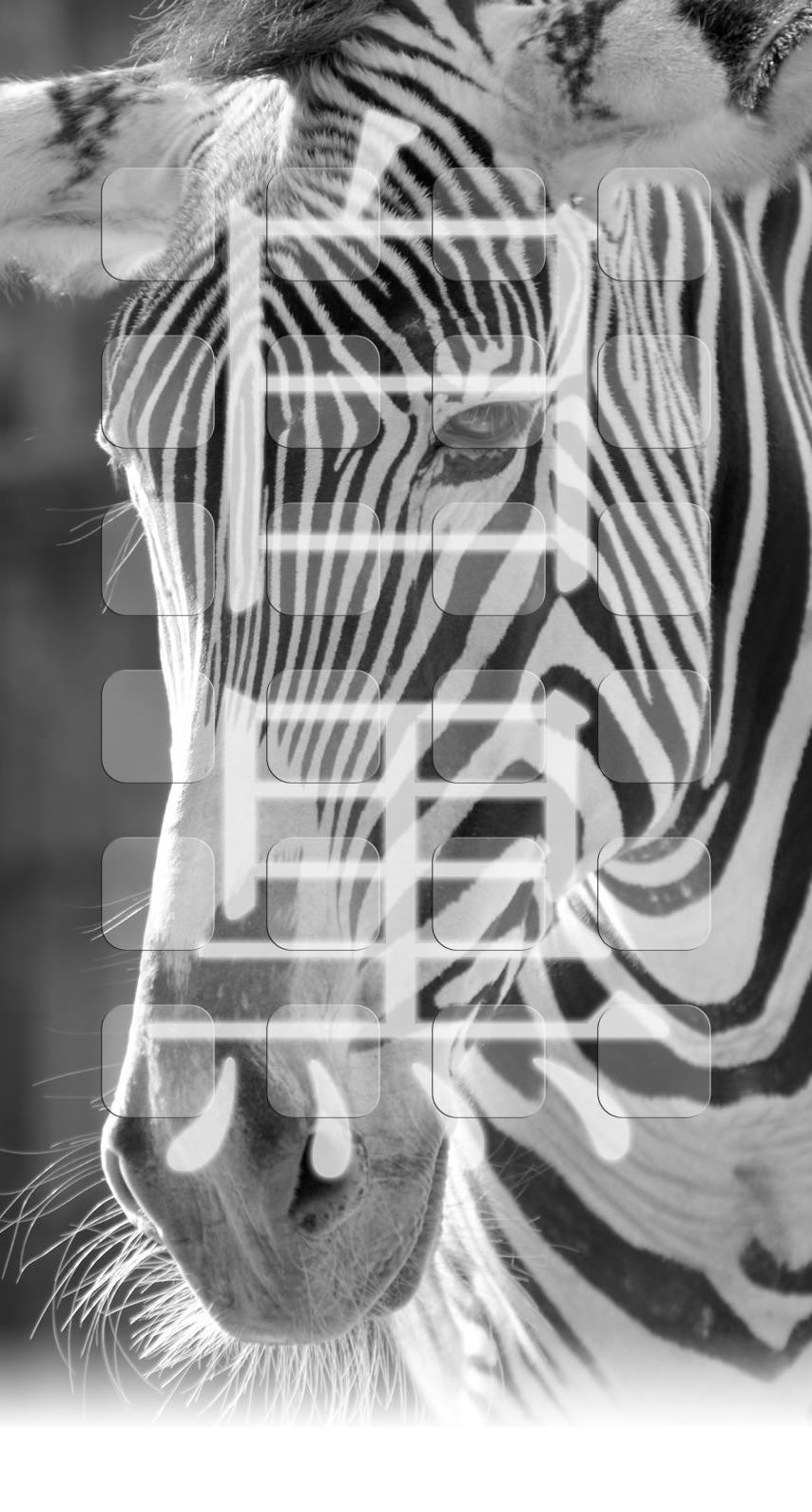 Hewan zebra rak hitam dan putih | wallpaper.sc iPhone6s