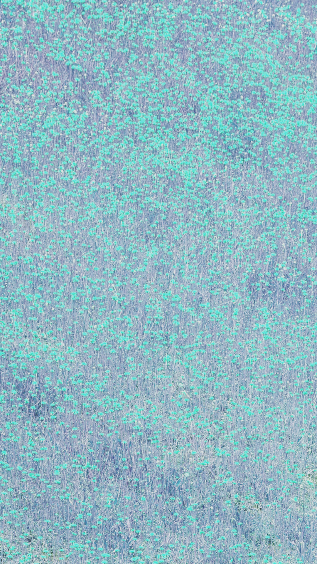 Landscape taman bunga Biru | wallpaper.sc iPhone6sPlus