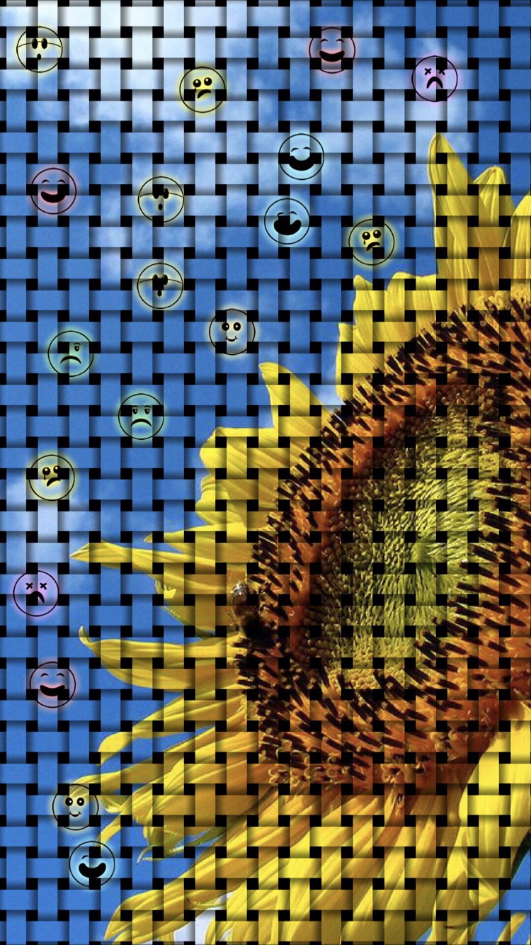 Jala bunga matahari | wallpaper.sc iPhone7