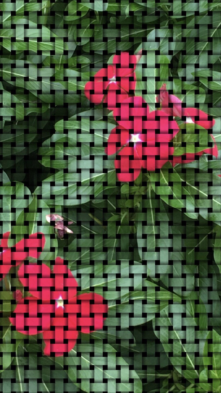 Jala bunga | wallpaper.sc iPhone7