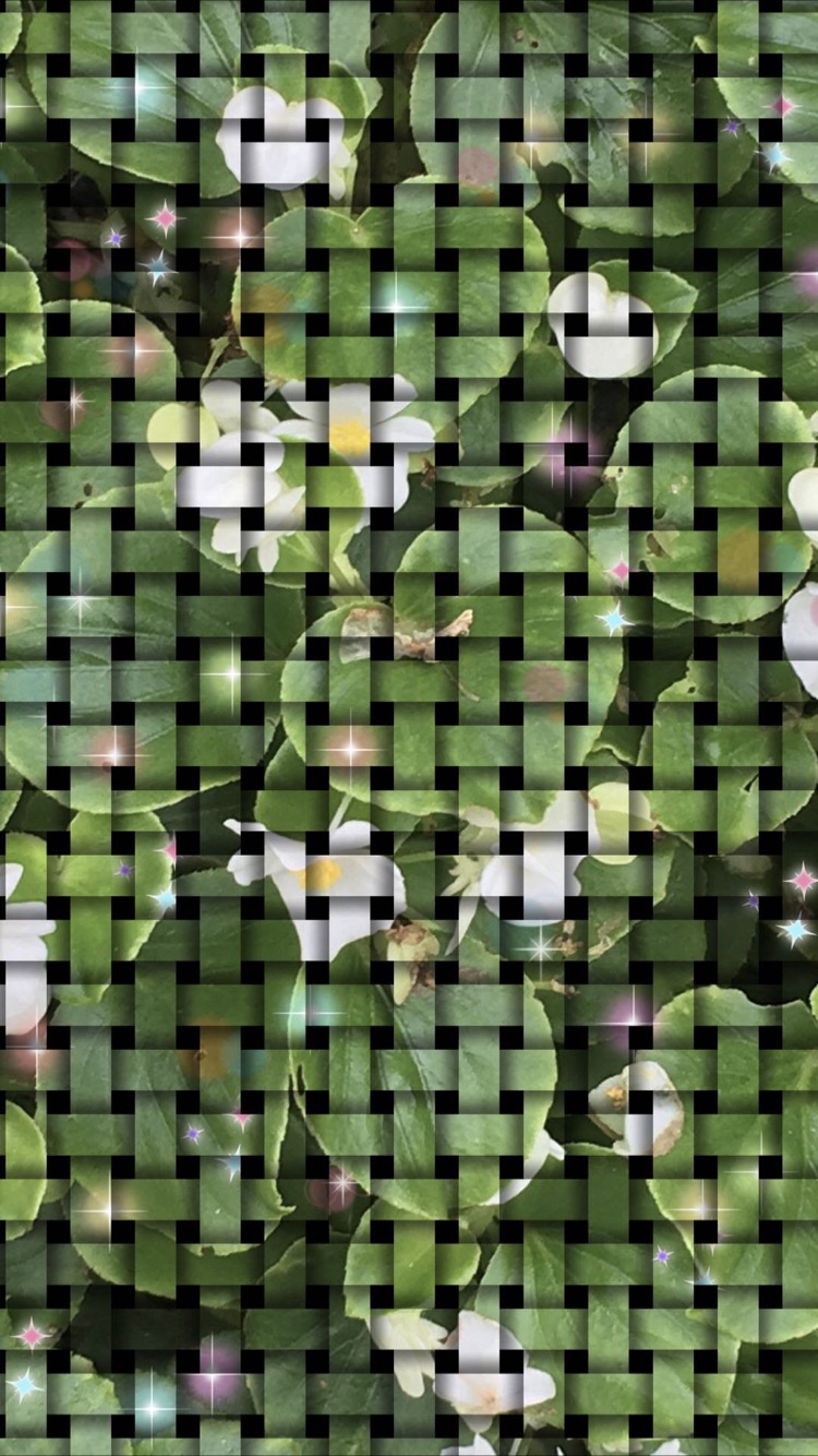 Jala bunga | wallpaper.sc iPhone7