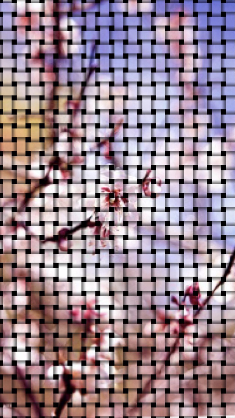 ceri Jala | wallpaper.sc iPhone8