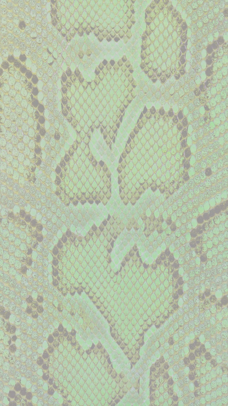 pola Python kuning | wallpaper.sc iPhone8