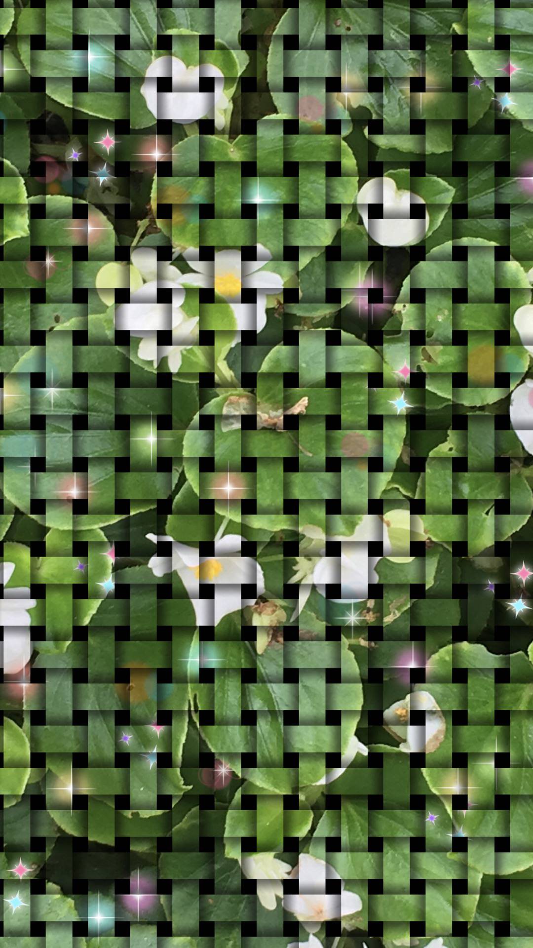 Jala bunga | wallpaper.sc iPhone8Plus